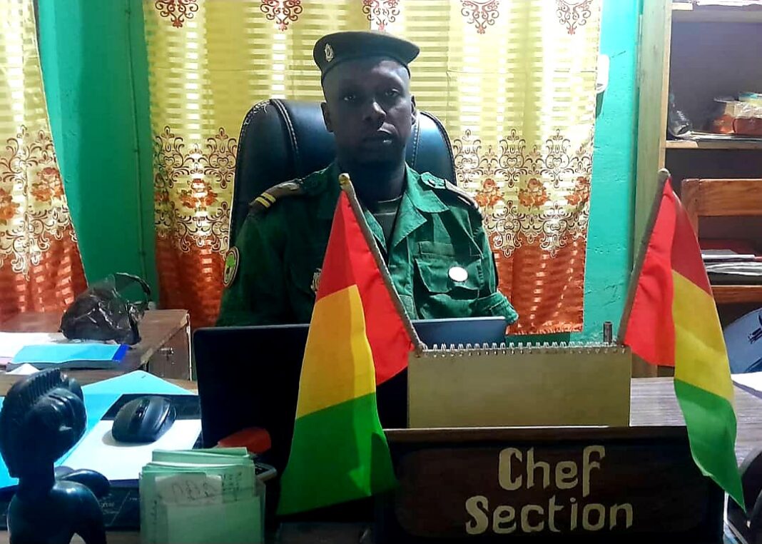 Kindia: le chef section forêts et faune retrousse ses manches pour ...